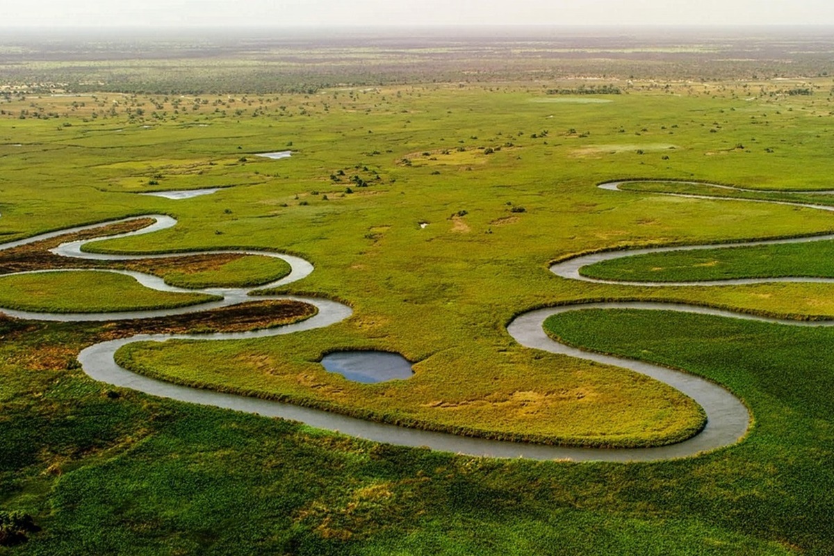 18 Delta Sungai Terbesar Dunia, Termasuk Nil dan Amazon, Tenggelam ...